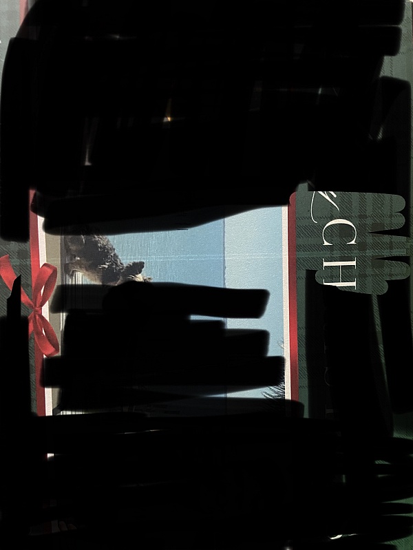 Simply to Impress Reviews - 146 Reviews of Simplytoimpress.com | Sitejabber