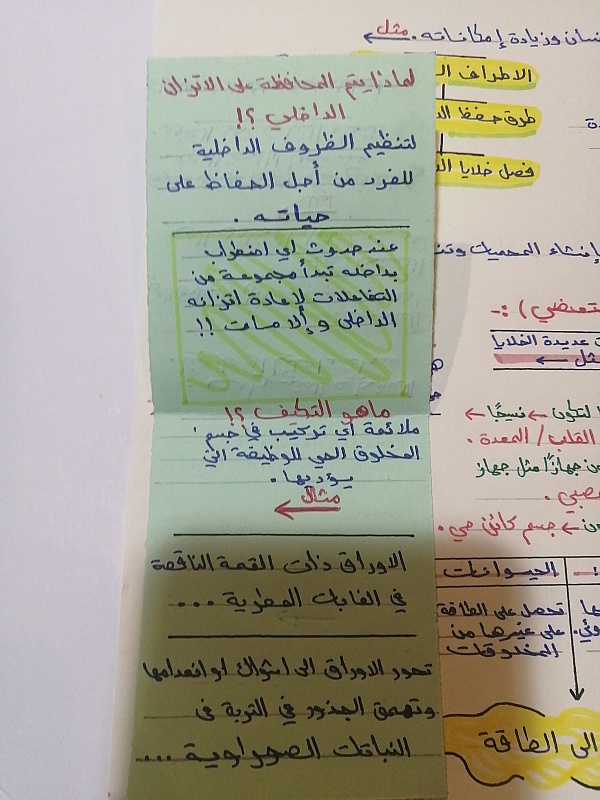 StudyPool Reviews - 364 Reviews of Studypool.com | Sitejabber