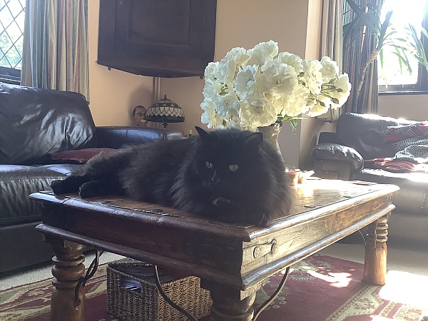 Zen UK Reviews - 4 Reviews of Zen.co.uk | Sitejabber