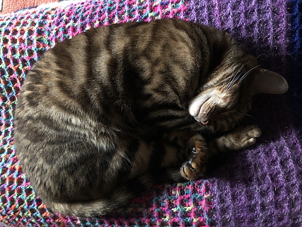 Zen UK Reviews - 4 Reviews of Zen.co.uk | Sitejabber