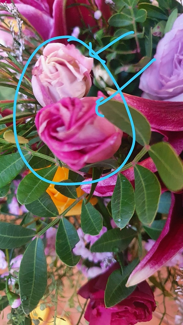 FloraQueen ES Reviews - 3 Reviews of Floraqueen.es | Sitejabber