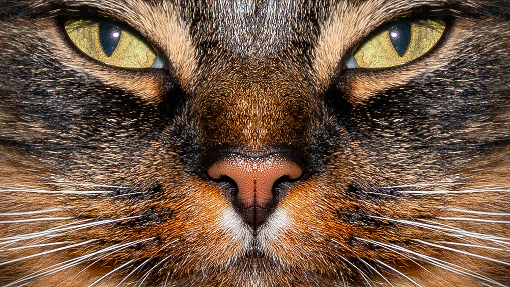 Gurushots Reviews - 44 Reviews of Gurushots.com | Sitejabber