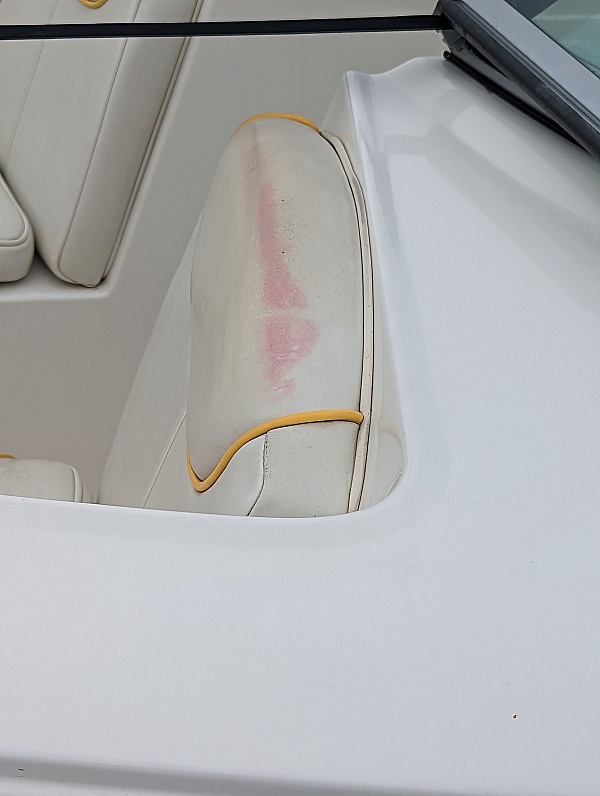 Cover Anything Reviews - 34,925 Reviews of Coveranything.com | Sitejabber