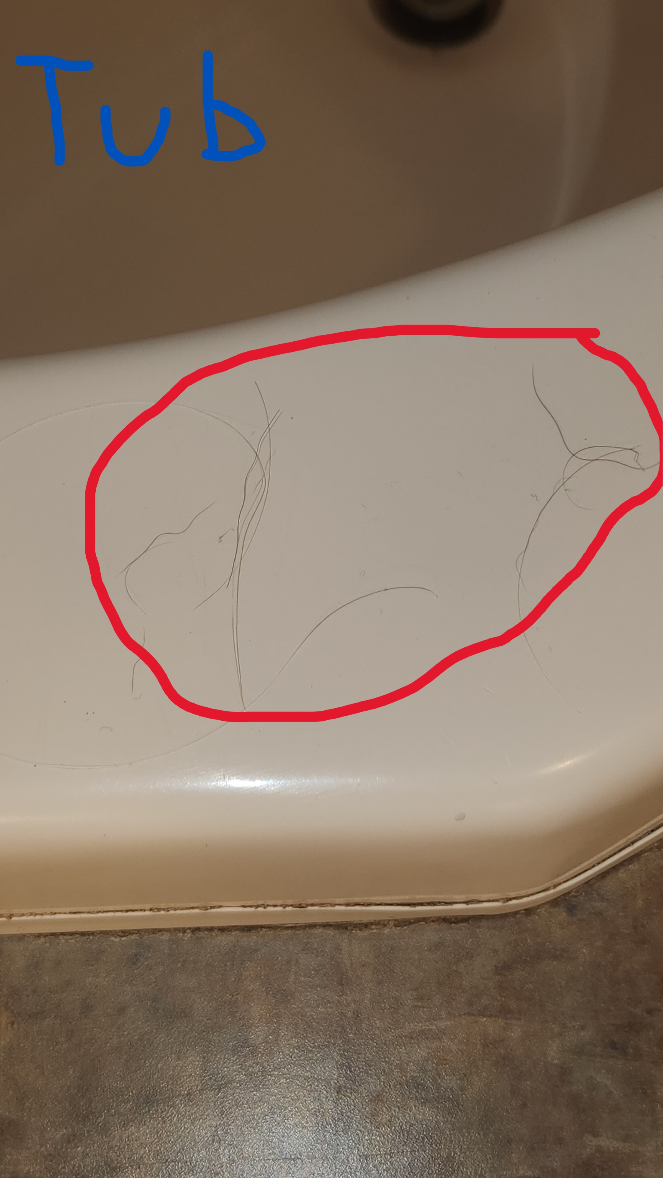 Evolve Vacation Rental Reviews - 955 Reviews of Evolve.com | Sitejabber