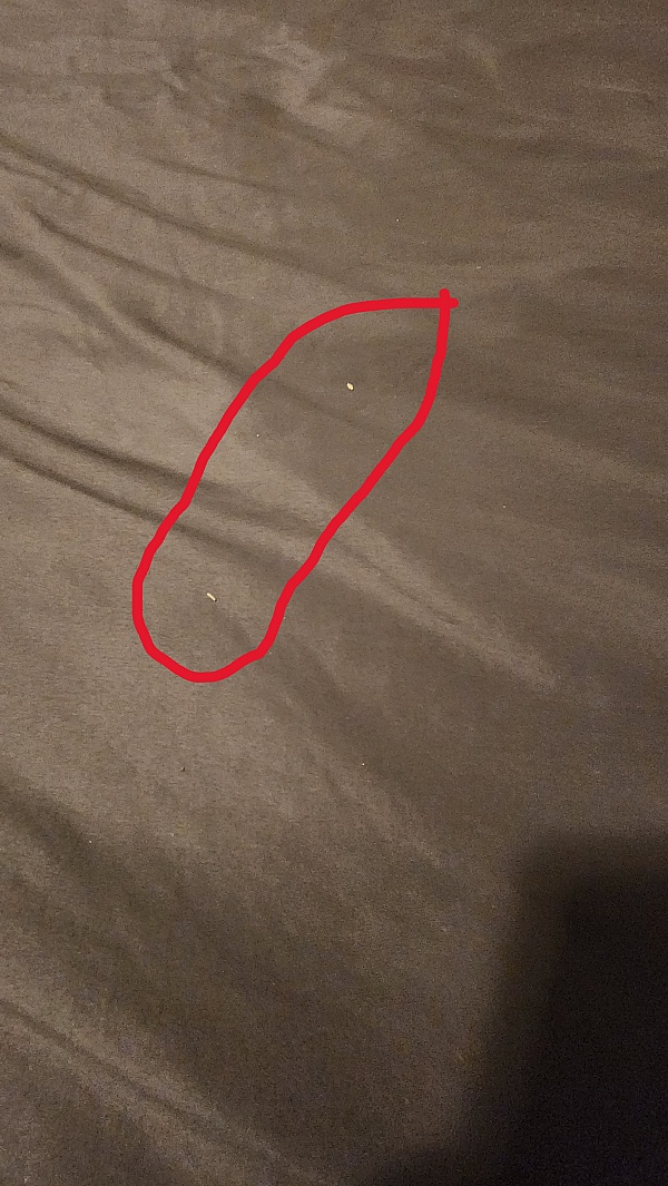 Evolve Vacation Rental Reviews - 852 Reviews of Evolve.com | Sitejabber