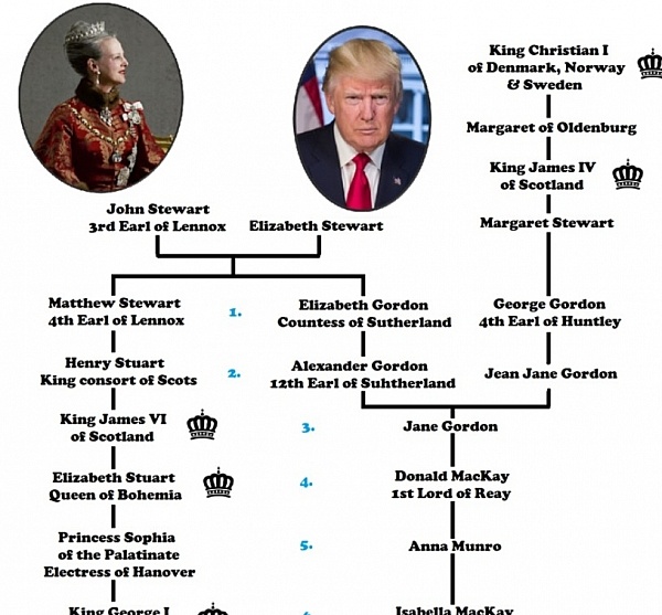 Geni Reviews - 58 Reviews of Geni.com | Sitejabber