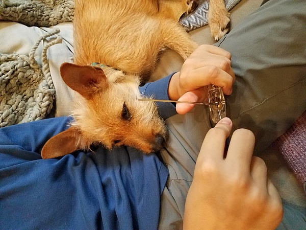 LockpickWorld Reviews - 54 Reviews of Lockpickworld.com | Sitejabber