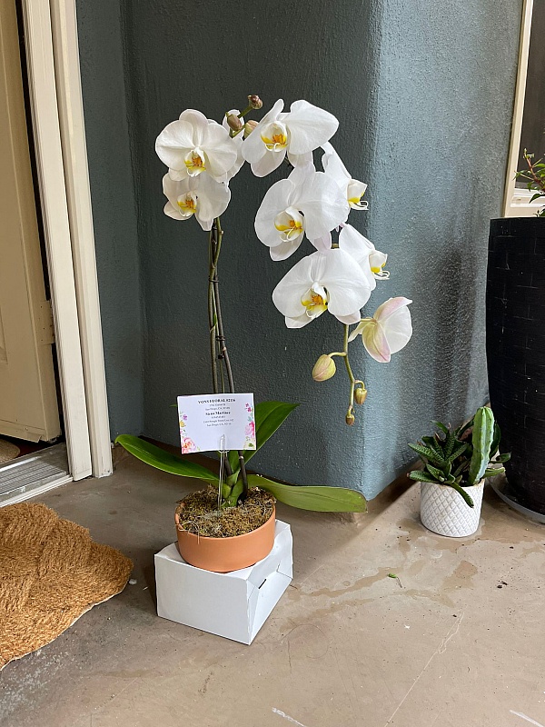 FTD Reviews - 408 Reviews of Ftd.com | Sitejabber