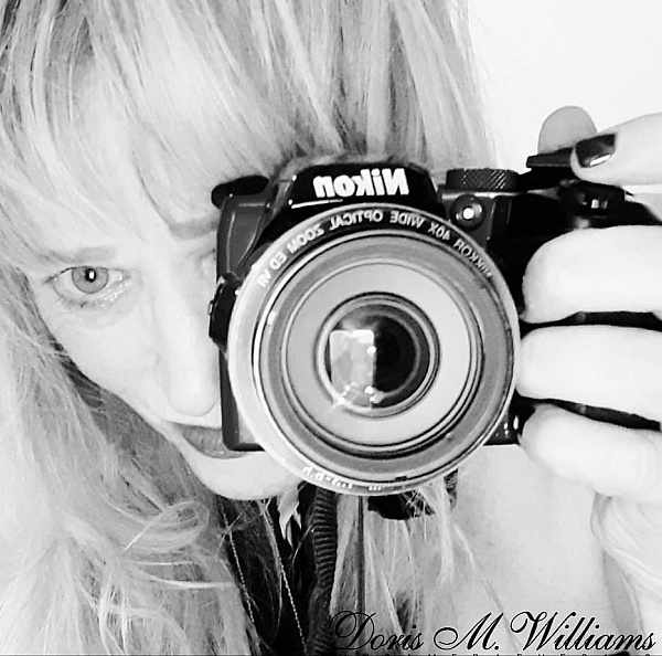 ViewBug Reviews - 243 Reviews of Viewbug.com | Sitejabber