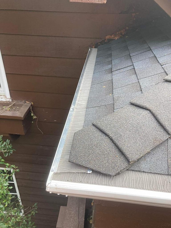 LeafBlaster Pro Reviews - 2,392 Reviews of Leafblaster.com | Sitejabber