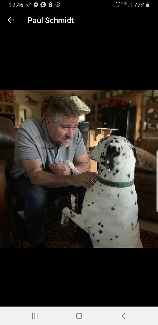 Mingle2 Reviews - 162 Reviews of Mingle2.com | Sitejabber