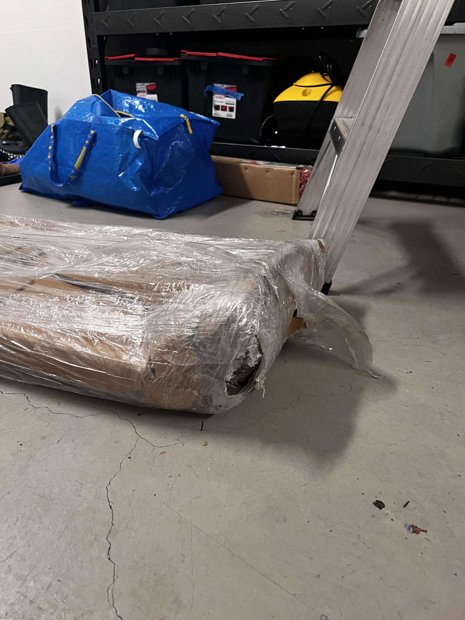 Litfad Reviews - 608 Reviews of Litfad.com | Sitejabber