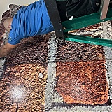 Litfad Reviews - 535 Reviews of Litfad.com | Sitejabber