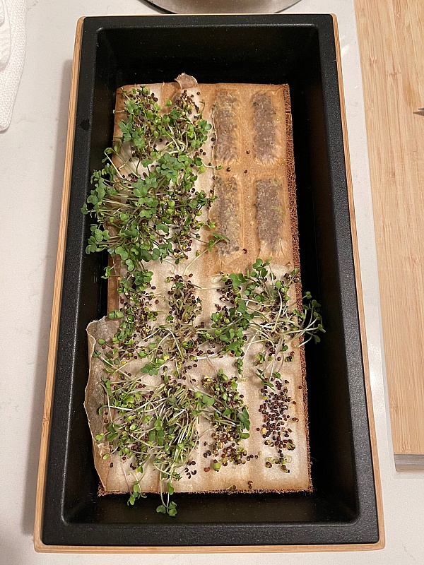 Hamama Reviews - 8 Reviews of Hamama.com | Sitejabber