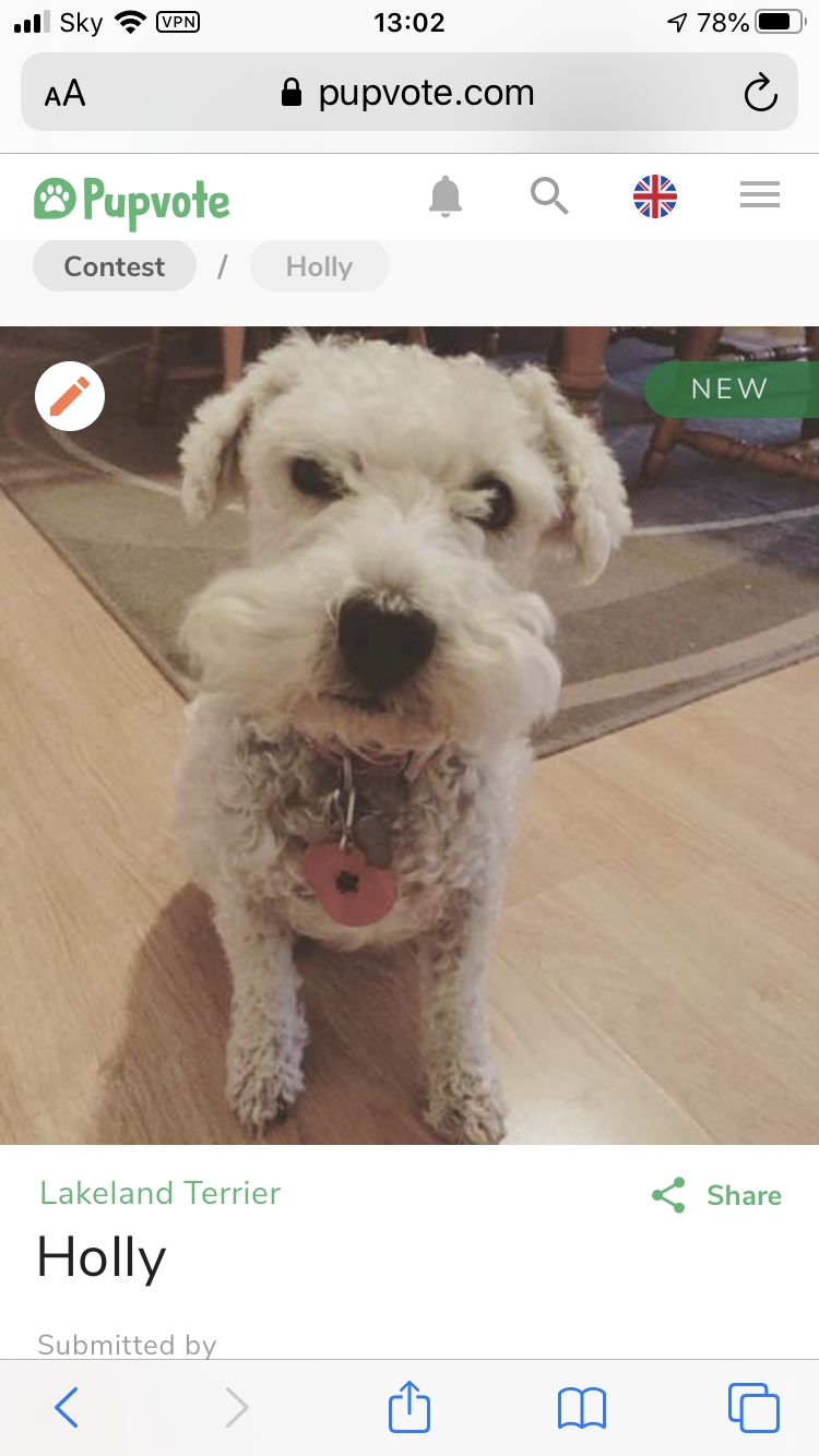 Pupvote Reviews - 1,397 Reviews of Pupvote.com | Sitejabber