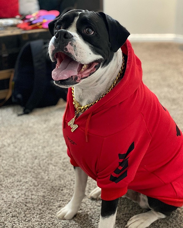 Sparkpaws Reviews - 45 Reviews of Sparkpaws.com | Sitejabber