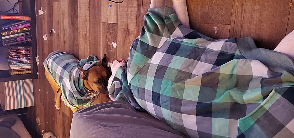 Sparkpaws Reviews - 103 Reviews of Sparkpaws.com | Sitejabber