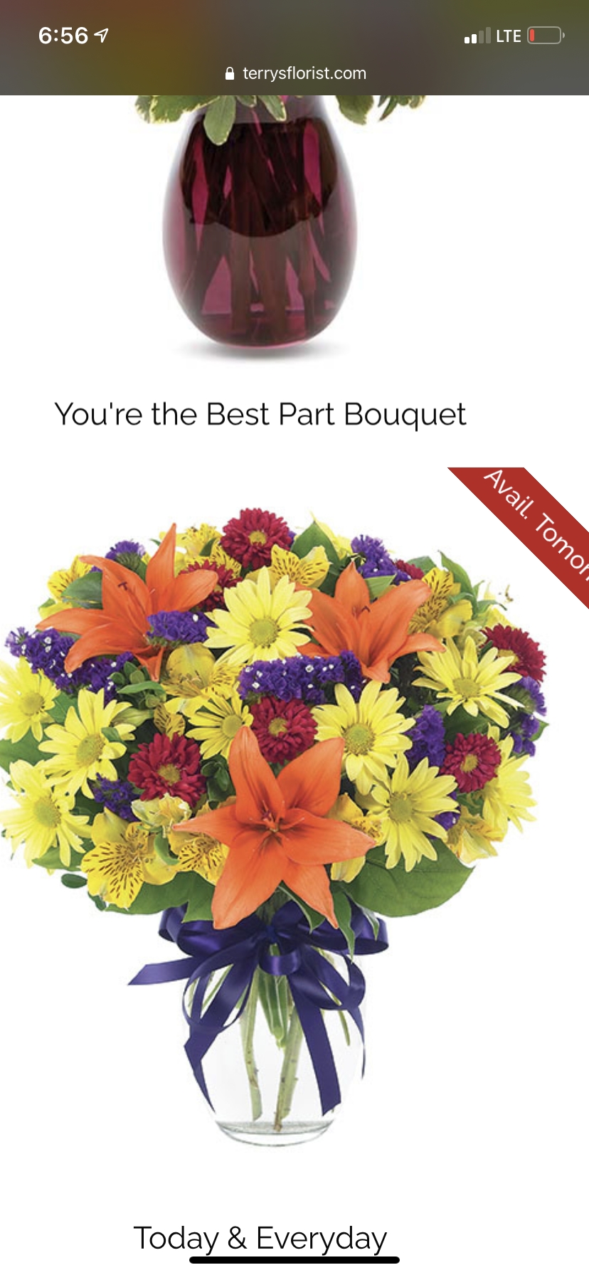 Terry’s Florist Reviews - 198 Reviews of Terrysflorist.com | Sitejabber