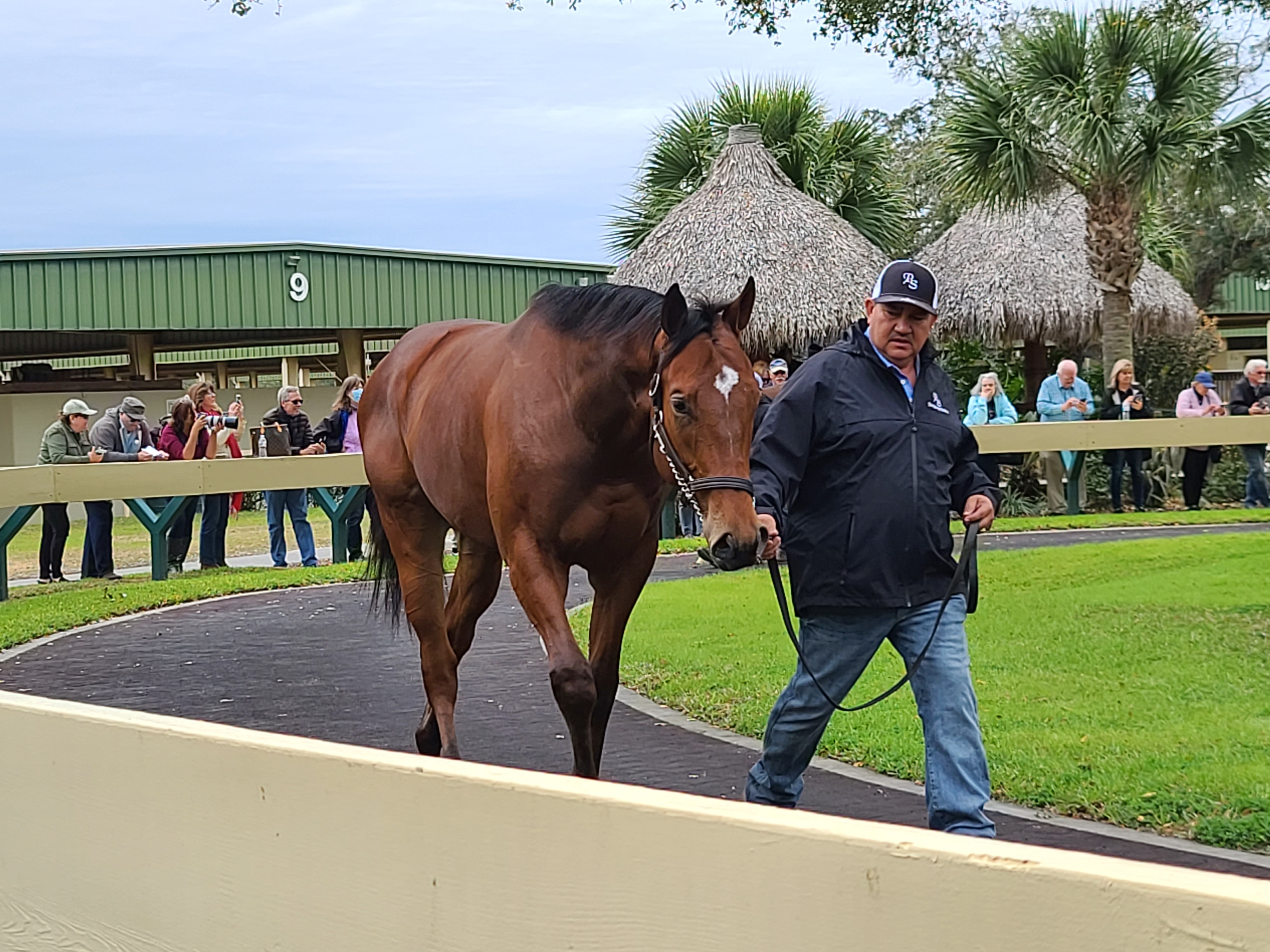 MyRacehorse Reviews - 27 Reviews of Myracehorse.com | Sitejabber