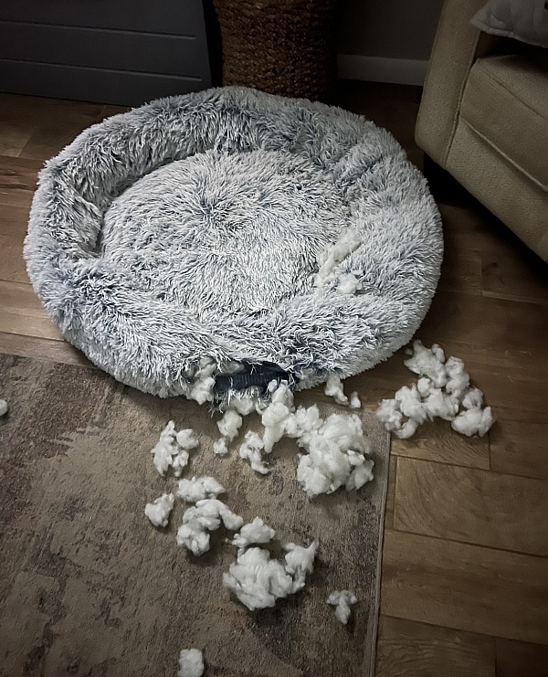 MrFluffyFriend Reviews - 448 Reviews of Mrfluffyfriend.com | Sitejabber