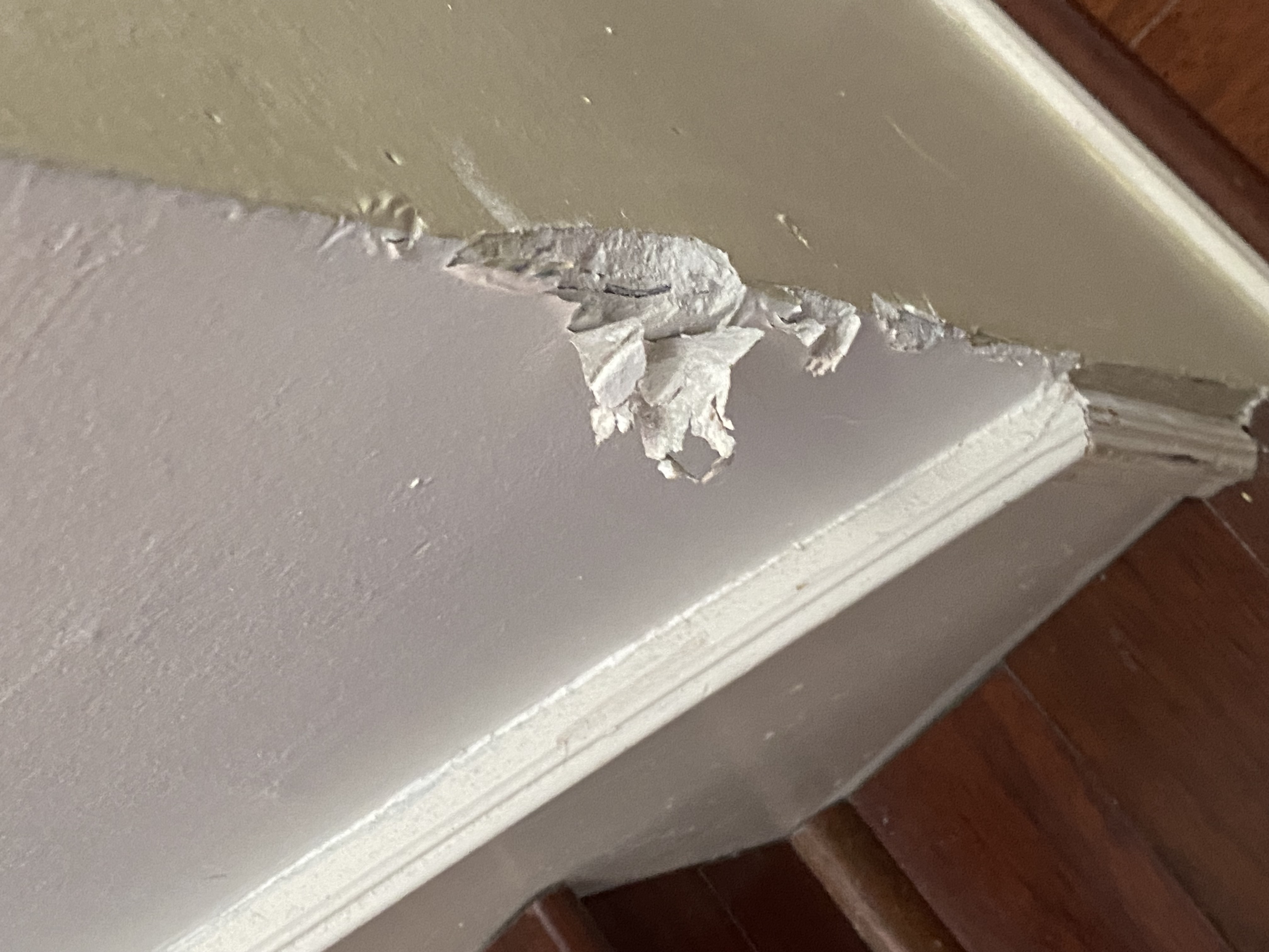 Angi (formerly Angie's List) Reviews - 2,431 Reviews of Angi.com ...