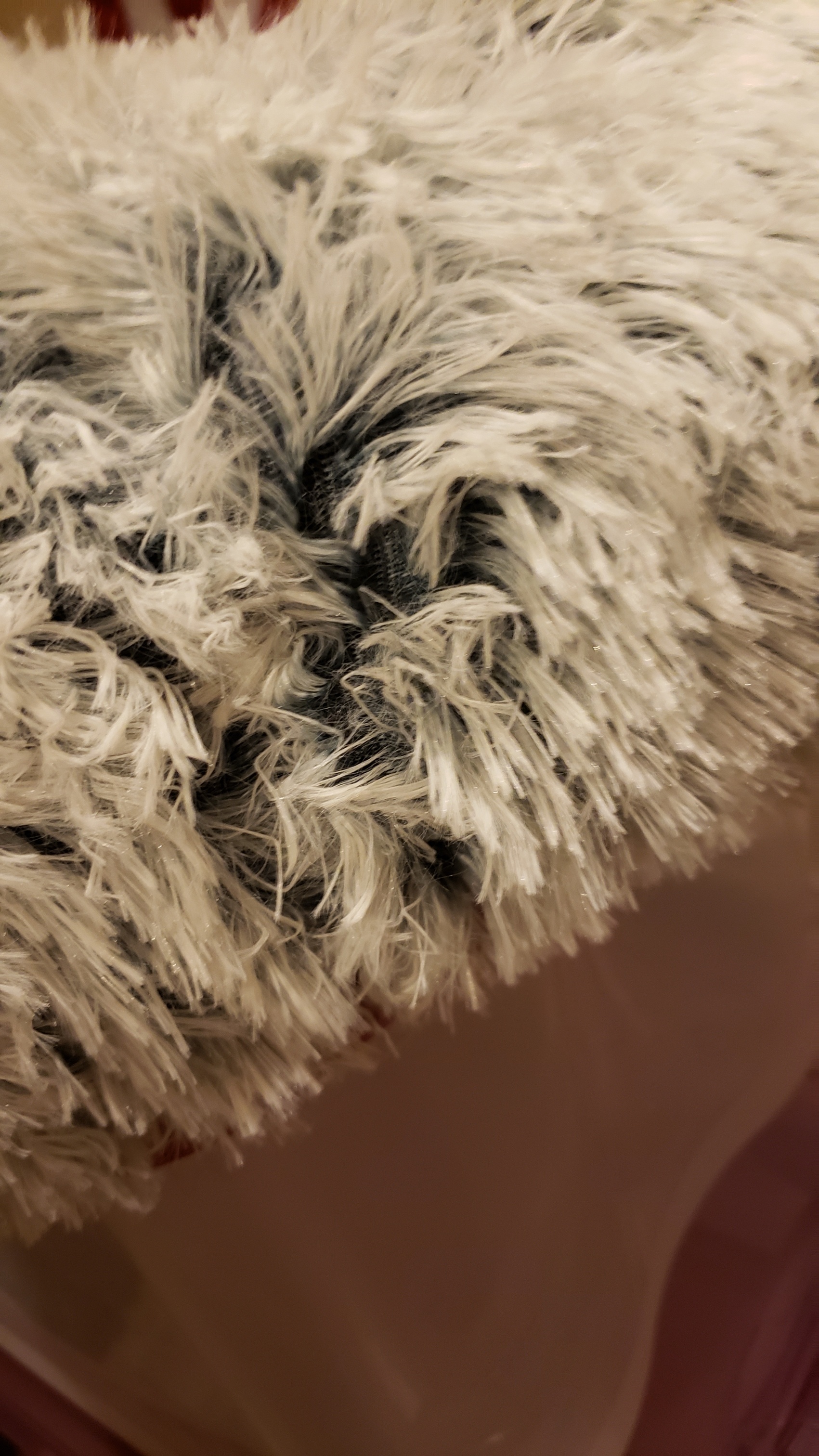 Myfluffyfriend Reviews - 2 Reviews of Myfluffyfriend.com | Sitejabber