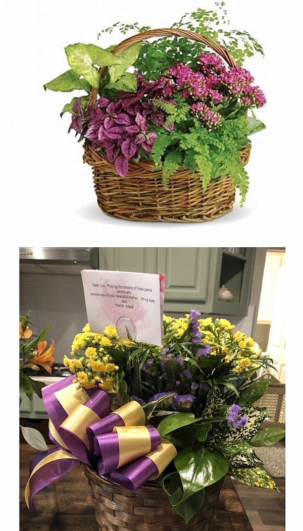 GiftTree Reviews - 15,648 Reviews of Gifttree.com | Sitejabber