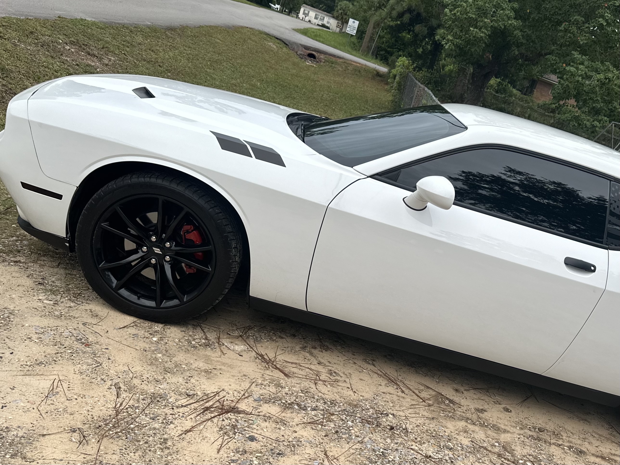 AmericanMuscle Reviews - 7,205 Reviews of Americanmuscle.com | Sitejabber