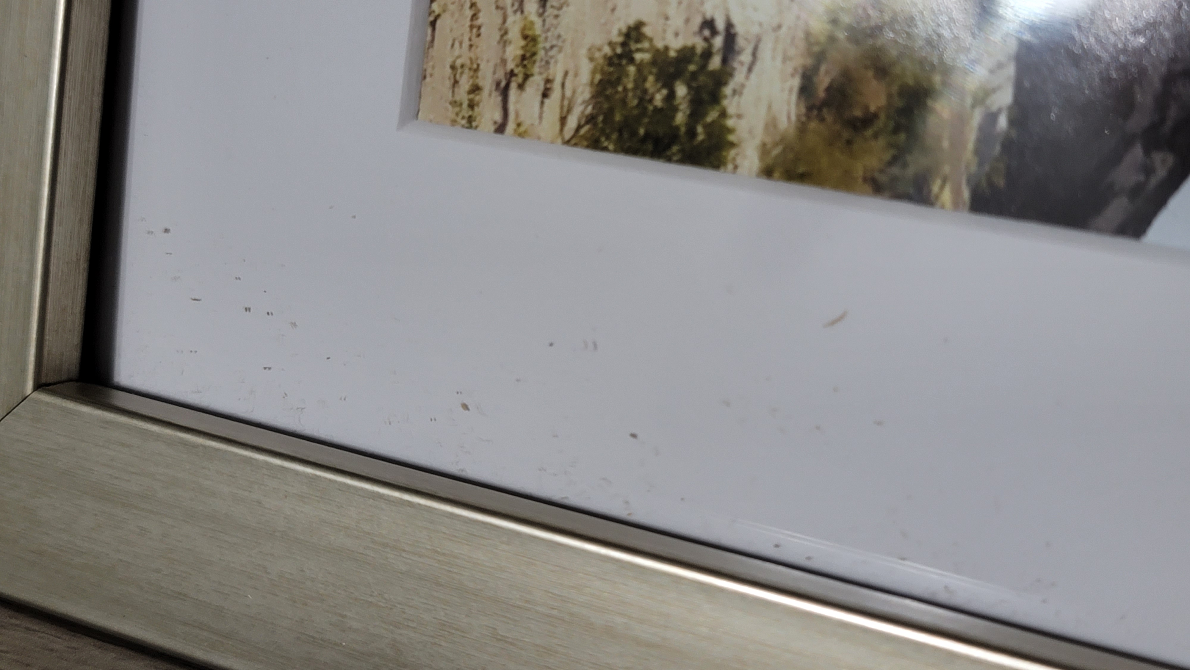 CanvasDiscount Reviews - 1,994 Reviews of Canvasdiscount.com | Sitejabber