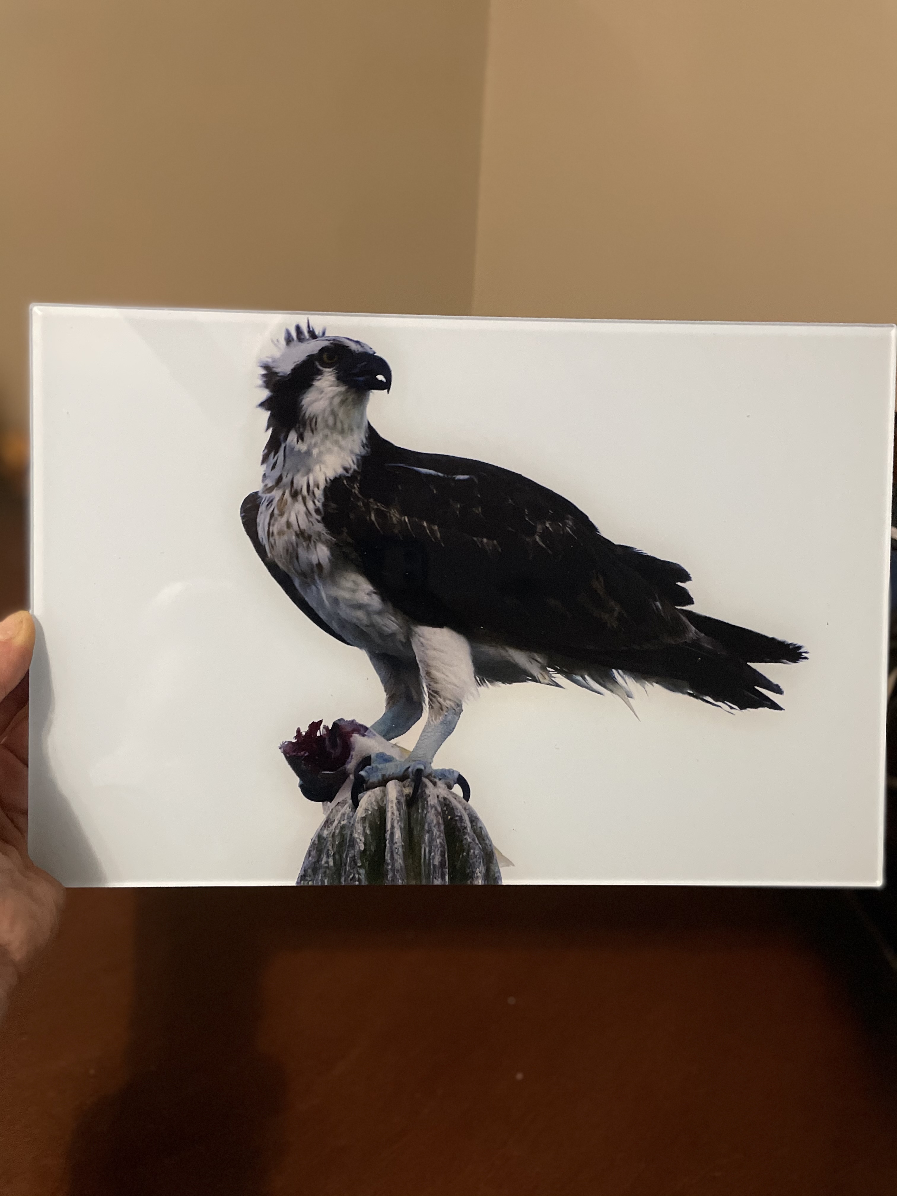 CanvasDiscount Reviews - 1,987 Reviews of Canvasdiscount.com | Sitejabber