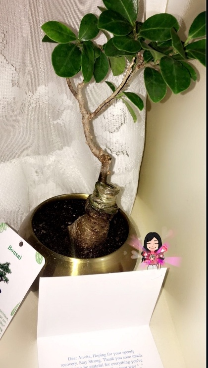 FlowerAura Reviews - 1,047 Reviews of Floweraura.com | Sitejabber