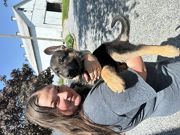 Lancaster Puppies Reviews - 148 Reviews of Lancasterpuppies.com ...