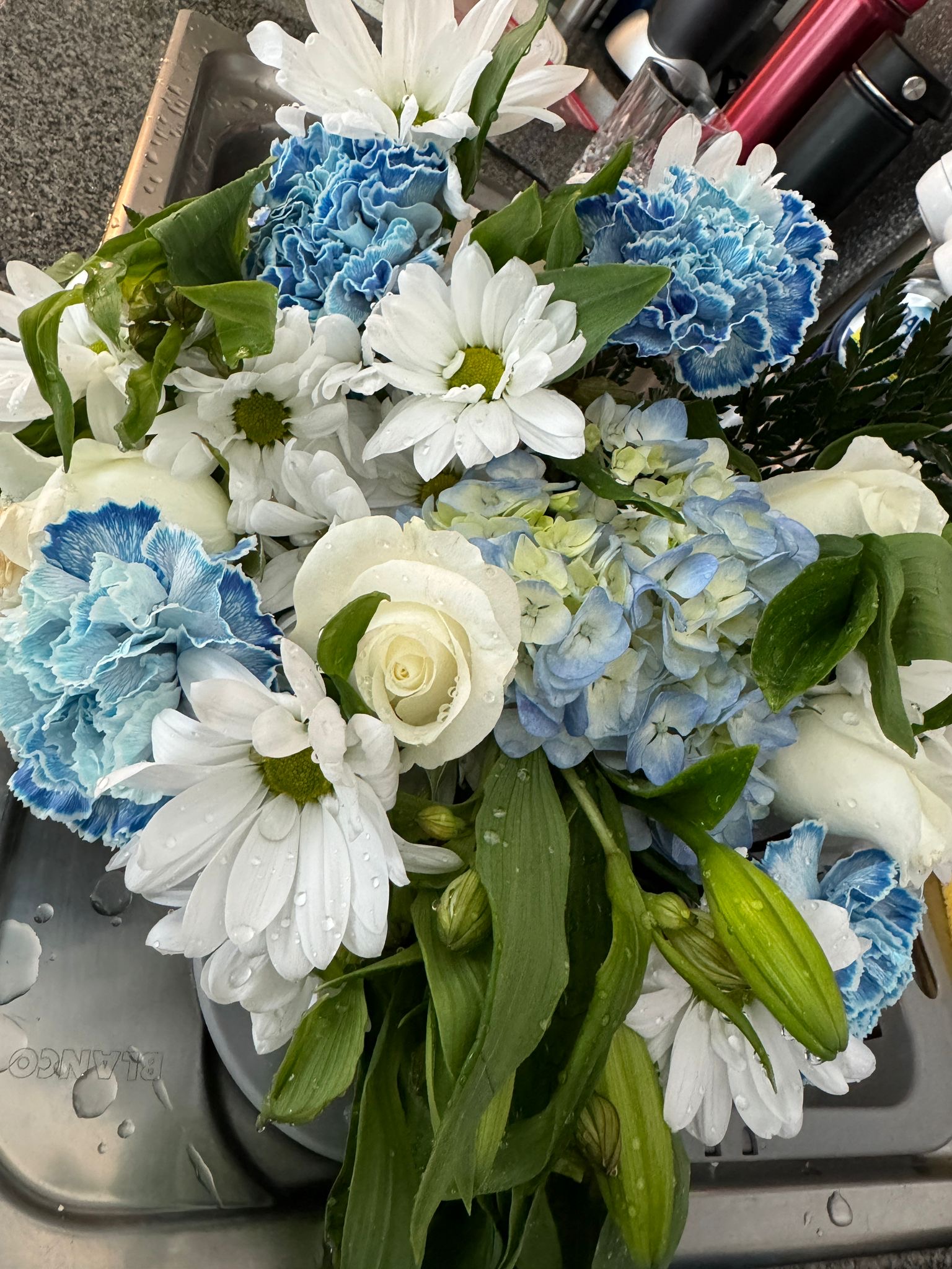 Bloomex Reviews - 1,377 Reviews of Bloomex.ca | Sitejabber