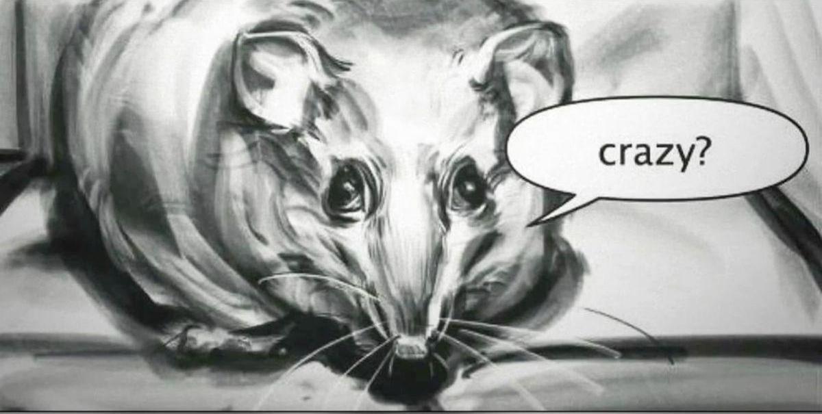 Reading Plus Reviews - 353 Reviews of Readingplus.com | Sitejabber