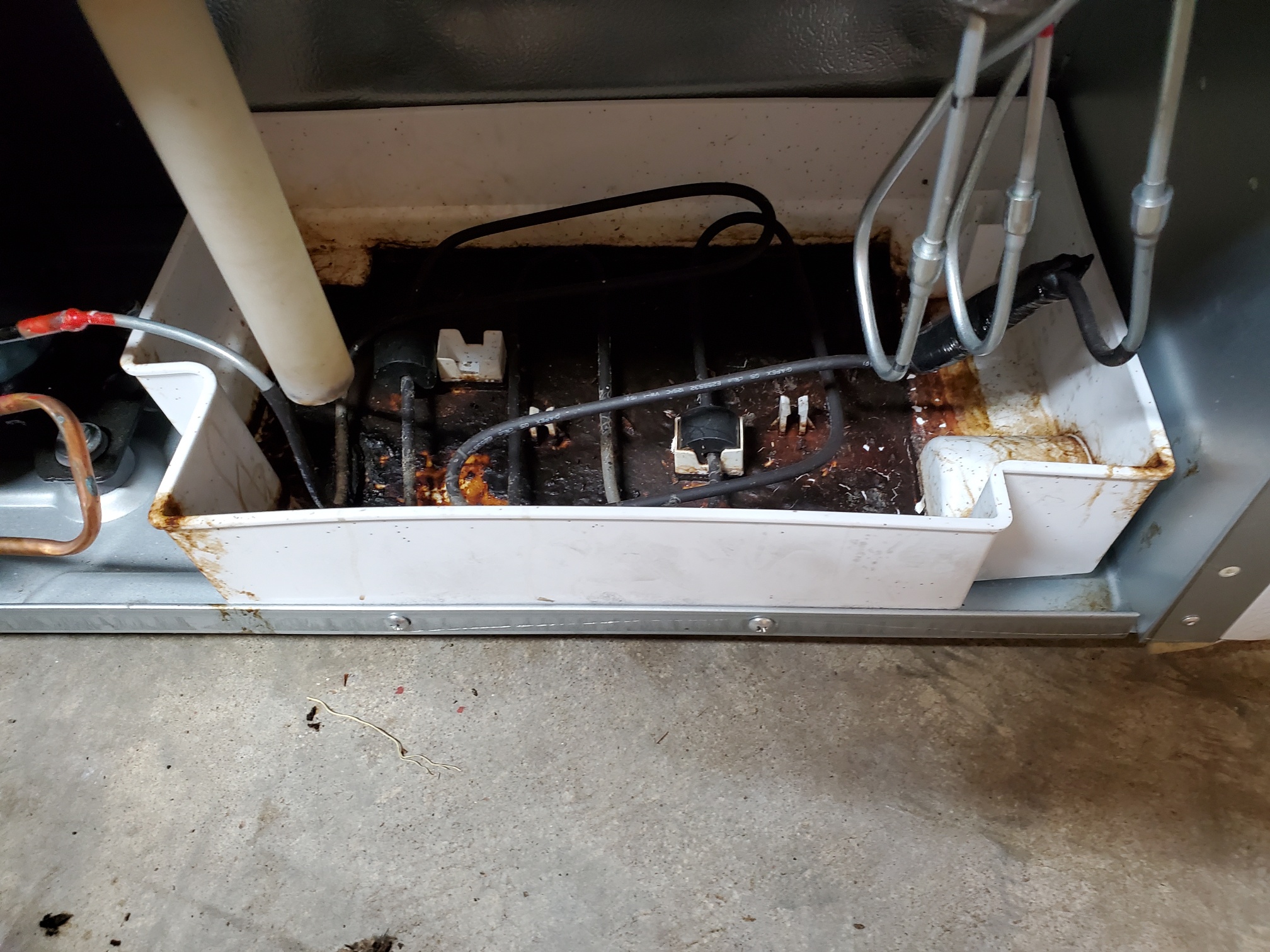 GE Appliances Reviews - 730 Reviews of Geappliances.com | Sitejabber