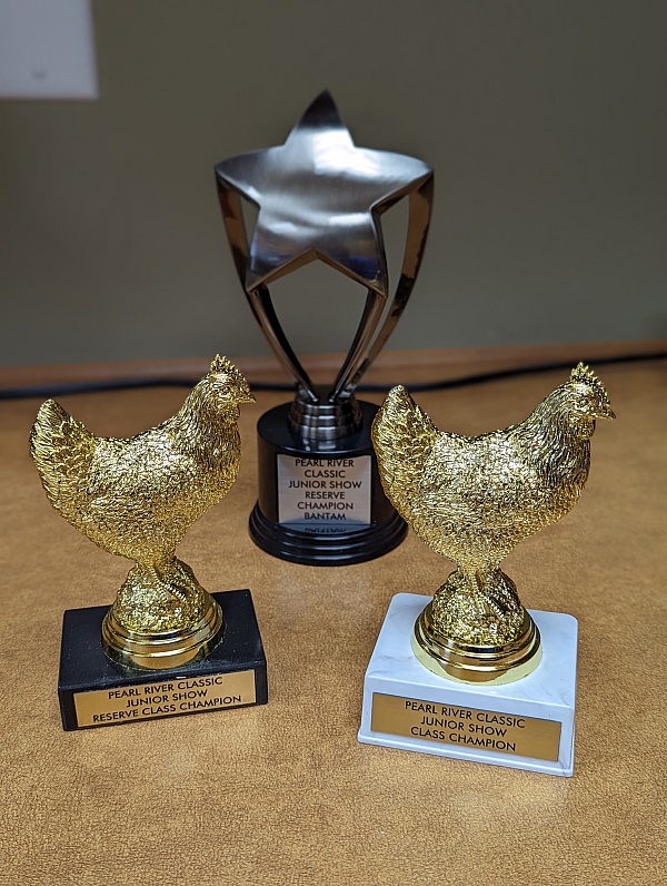 Crown Awards Reviews - 128,975 Reviews of Crownawards.com | Sitejabber