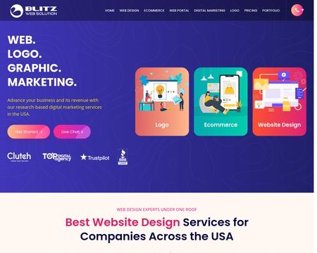 Blitz Web Solution Reviews - Read 16 Customer Reviews of Blitz Web ...